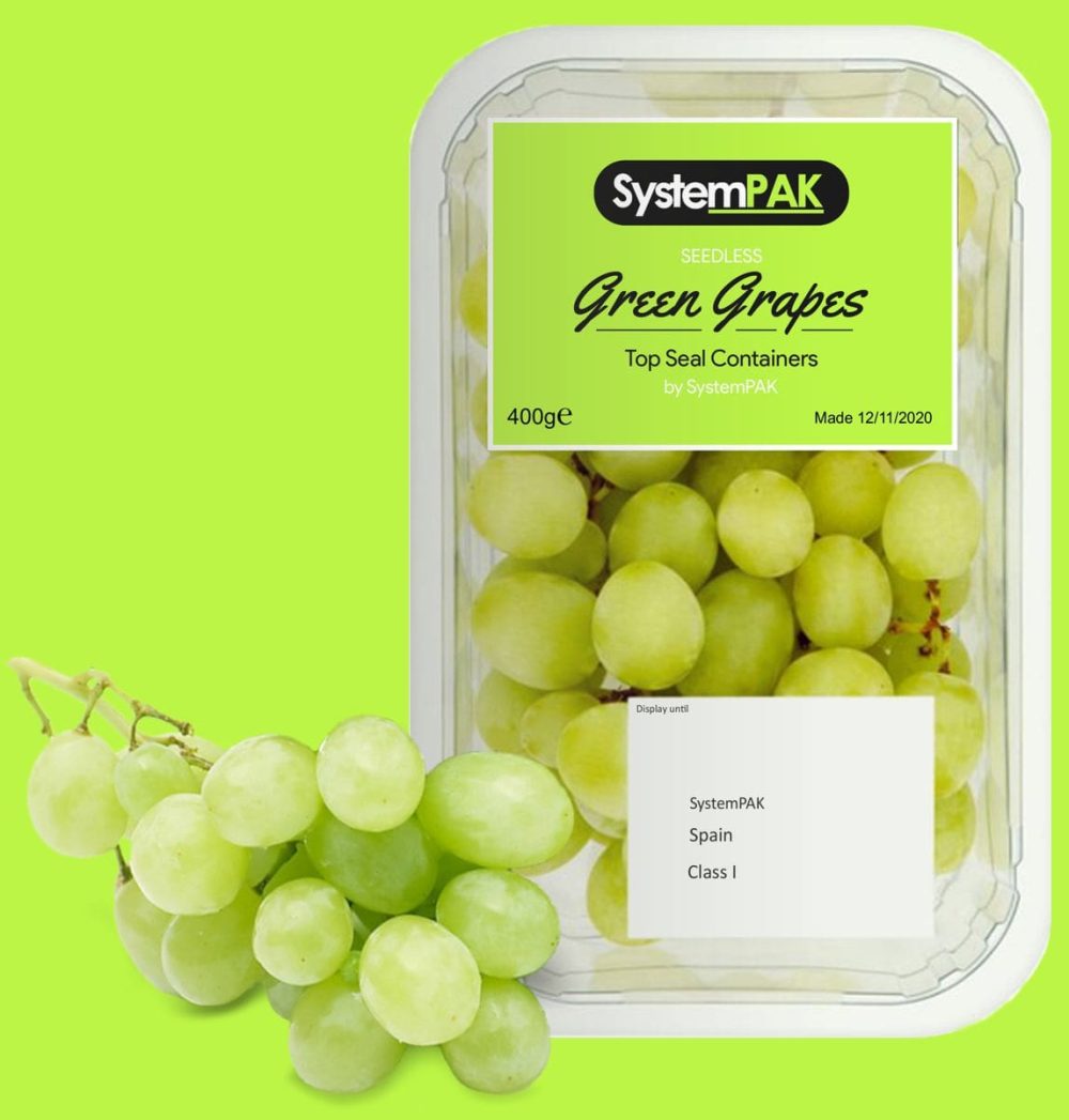 Top Seal Containers - SystemPAK